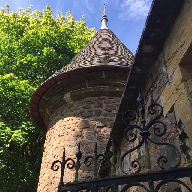 Annie Bee ~The Buzz Of A Like-Minded Woman