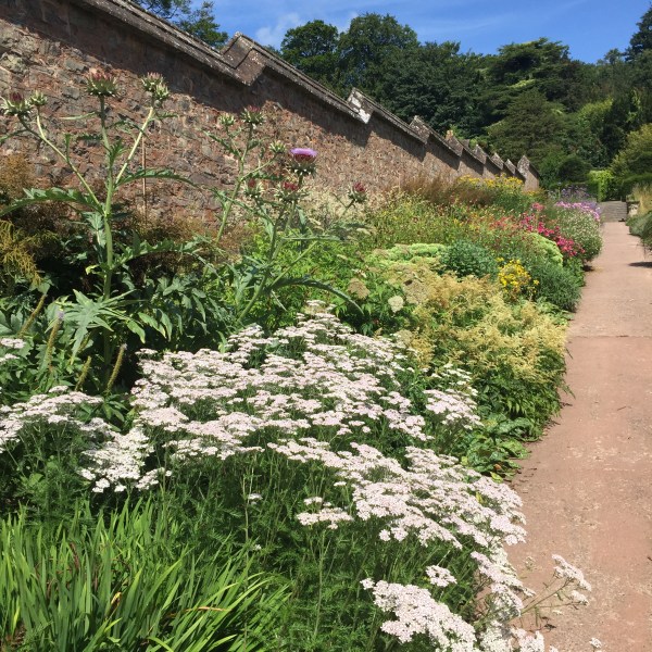 Annie Bee ~The Buzz Of A Like-Minded Woman